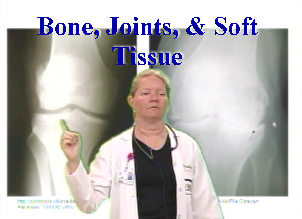 Pathology: Bone, Joints, & Soft Tissue - Anatomy Guy