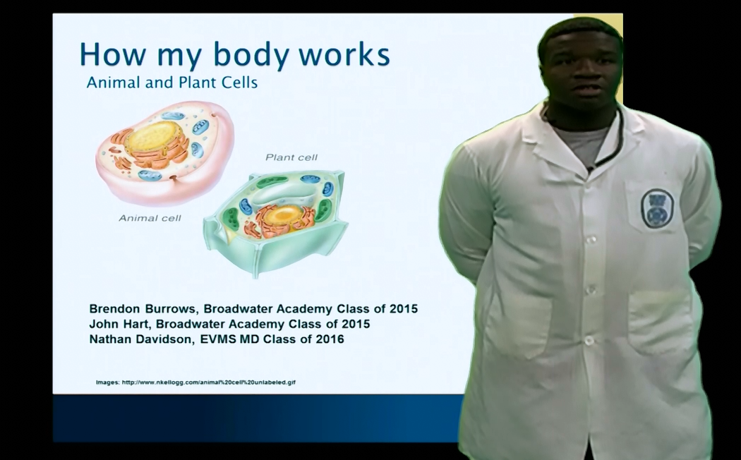 How My Body Works Series: Animal & Plant Cells - Anatomy Guy
