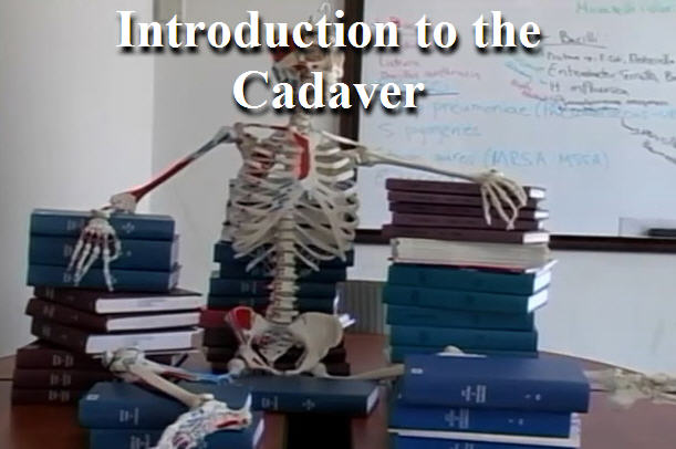Introduction to the Cadaver - Anatomy Guy