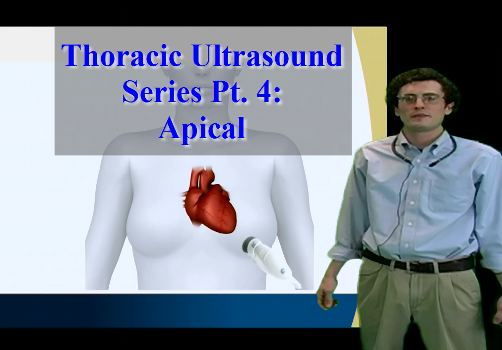 Thoracic Ultrasound Series - Pt. 4: Apical - Anatomy Guy