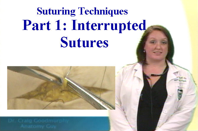 Suturing: Suturing Techniques - Interrupted Sutures (Part I) - Anatomy Guy