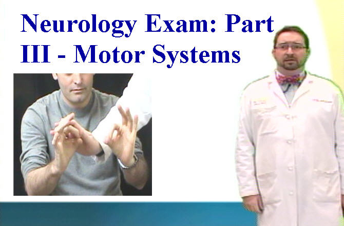Neurological Examination: Part III - Motor Systems - Anatomy Guy