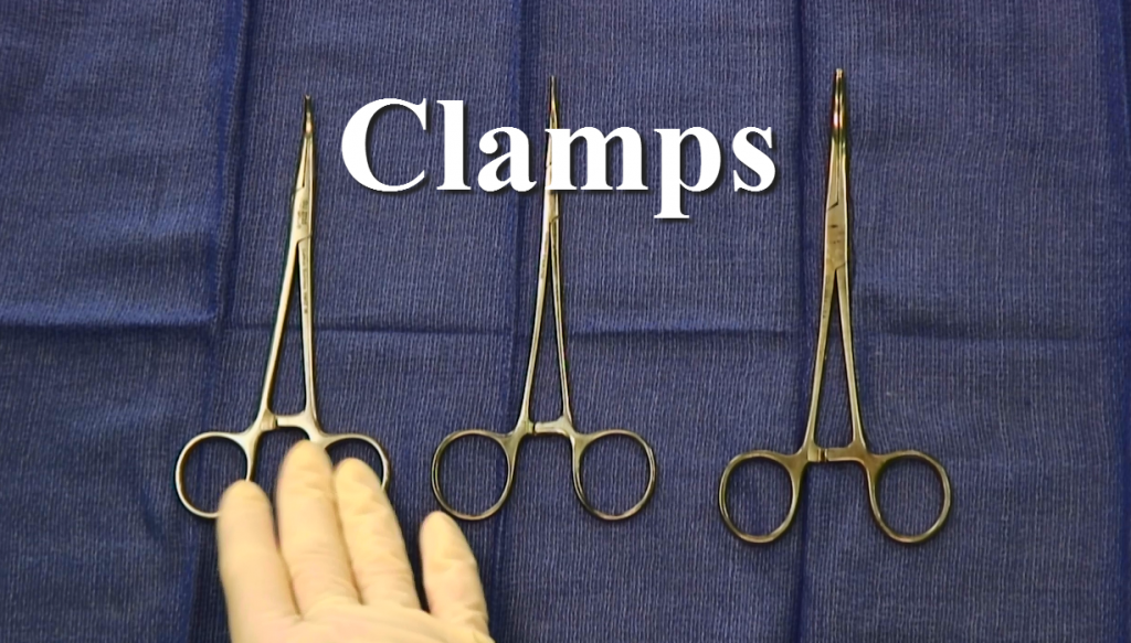 Clamps - Anatomy Guy