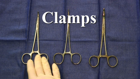 kelly clamp Archives - Anatomy Guy