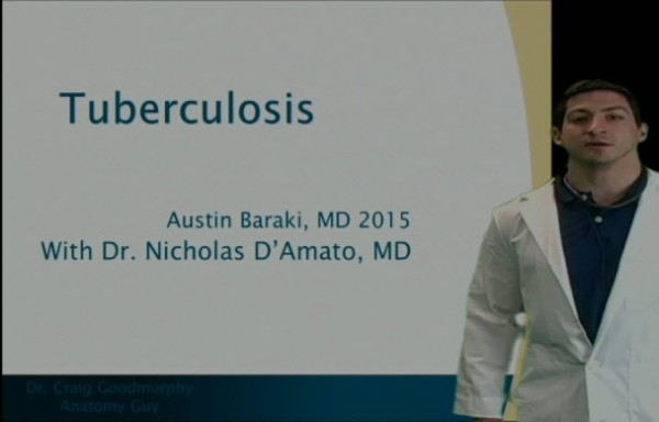 Path Tuberculosis - Anatomy Guy
