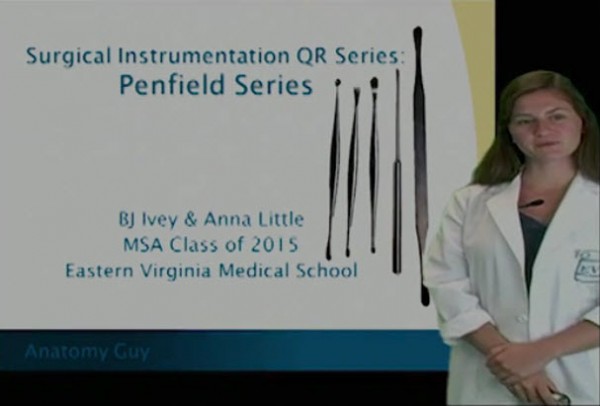 Penfield Series - Anatomy Guy